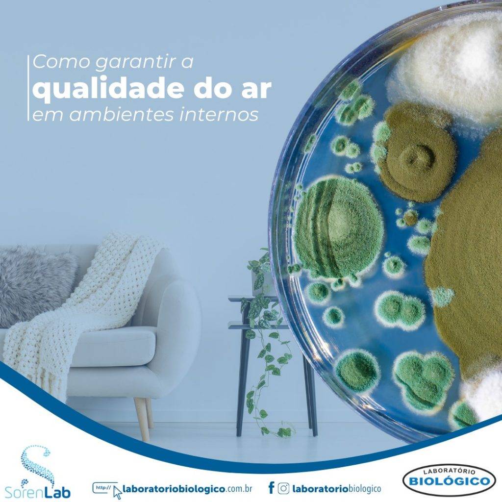 Como garantir a qualidade do ar interno - Laboratório Biológico